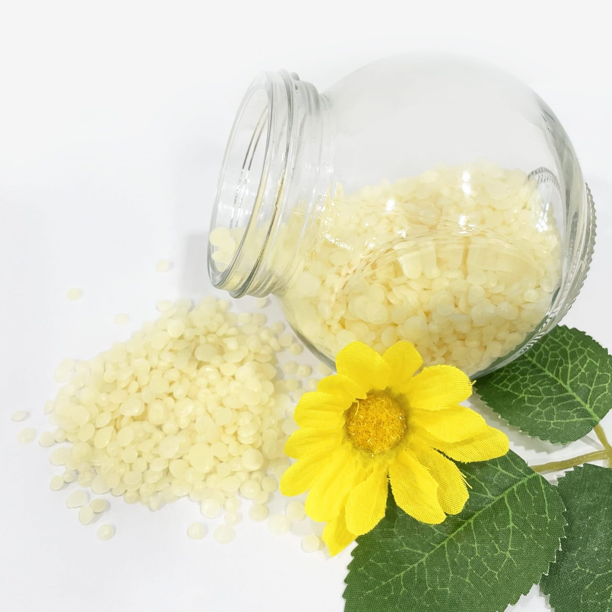 Oryza Sativa (Rice) Bran Wax (Rice Bran Wax) - Hóa chất rồng việt