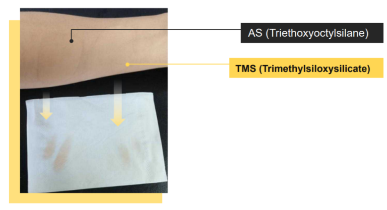 TMS - Nguyên liệu cải tiến mới làm tươi sáng và giữ lớp makeup bền màu ...